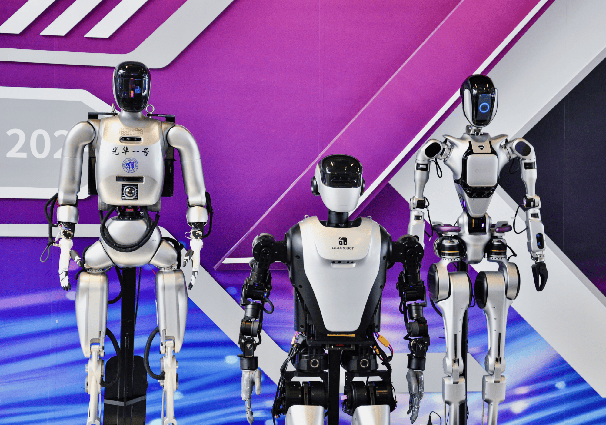 China’s Robot Fever - The Wire China China’s Robot Fever - The Wire China