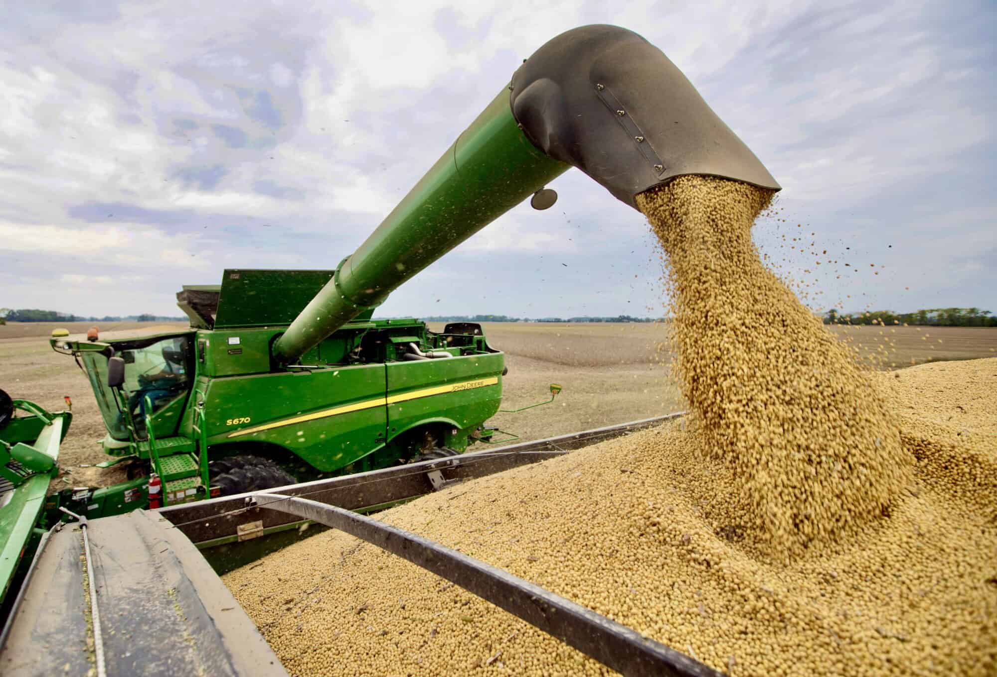 China’s Soybean Sway - The Wire China
